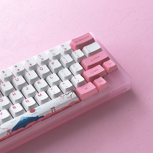 Akko ACR59 World Tour Tokyo Mechanical Keyboard - WhatGeek