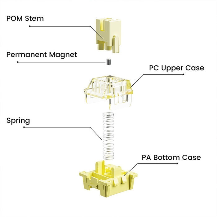 Akko MOD007B-HE Wireless Mechanical Keyboard - WhatGeek