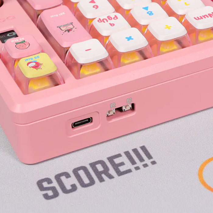 DOIO KB19B-01 Wireless Macro Keyboard DIY Kit with OLED Screen - WhatGeek