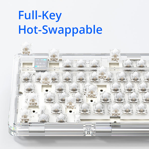 LEOBOG K81 Pro Transparent Wireless DIY Keyboard Kit - WhatGeek