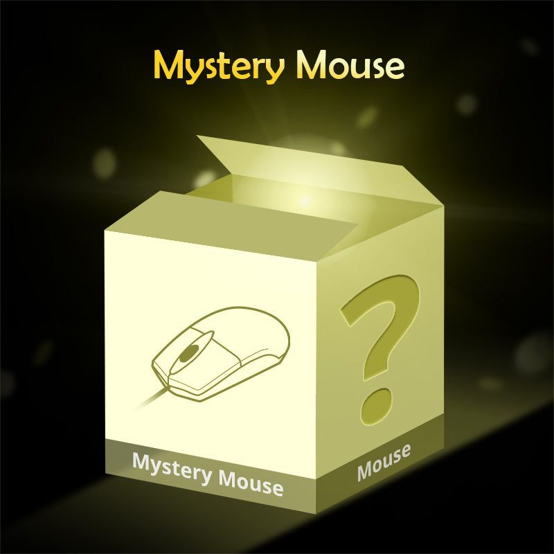 Mystery Gaming Mouse Box - WhatGeek