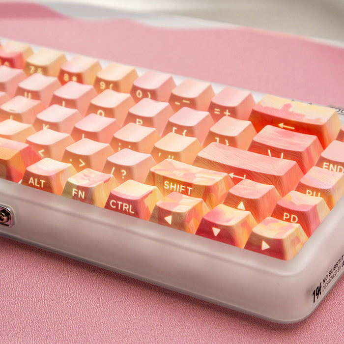 PIIFOX CKC-02 Pink Oil Painting OEM Profile Keycaps 130 Keys Side ...