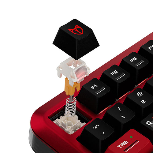 PIIFOX Walker75 Triple-Mode Magnetic Switch Mechanical Keyboard - WhatGeek