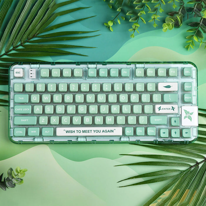 CoolKiller CK75 Triple Mode Transparent Mechanical Keyboard - WhatGeek
