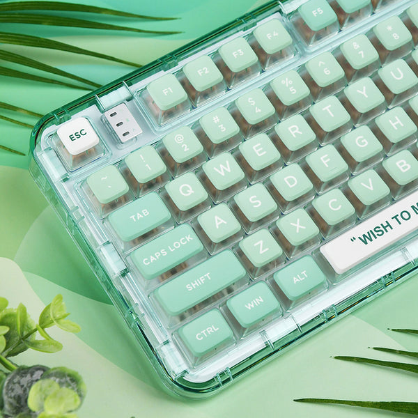 CoolKiller CK75 Triple Mode Transparent Mechanical Keyboard - WhatGeek