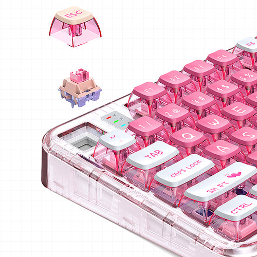 CoolKiller CK75 Triple Mode Transparent Mechanical Keyboard - WhatGeek