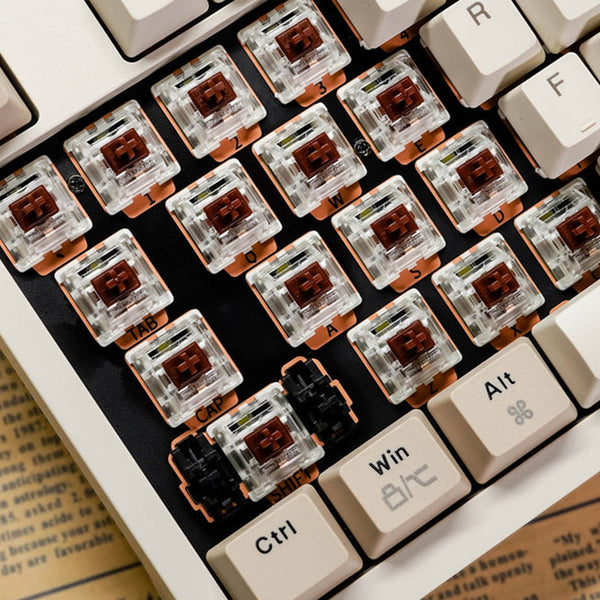 JAMESDONKEY RS2 Gasket Mechanical Keyboard - WhatGeek